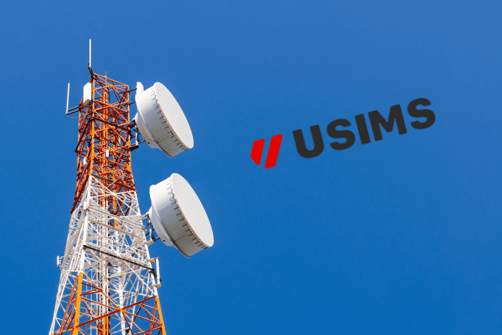 Data Roaming Explained: What You Need to Know - USIMS Blog