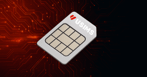 SIM Card Data Explained | FAQ | USIMS